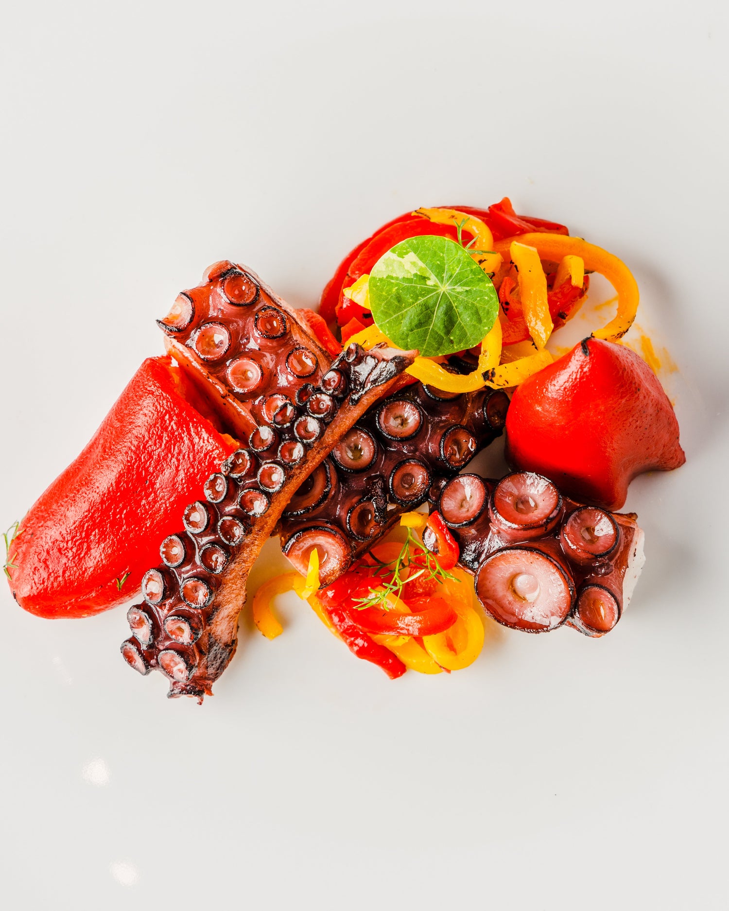 Miami Tasting Menu | Tue - Sat - Fine Dining – Caviar Russe