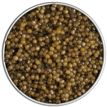 Osetra Caviar – Caviar Russe