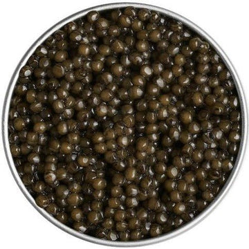 Osetra Caviar – Caviar Russe